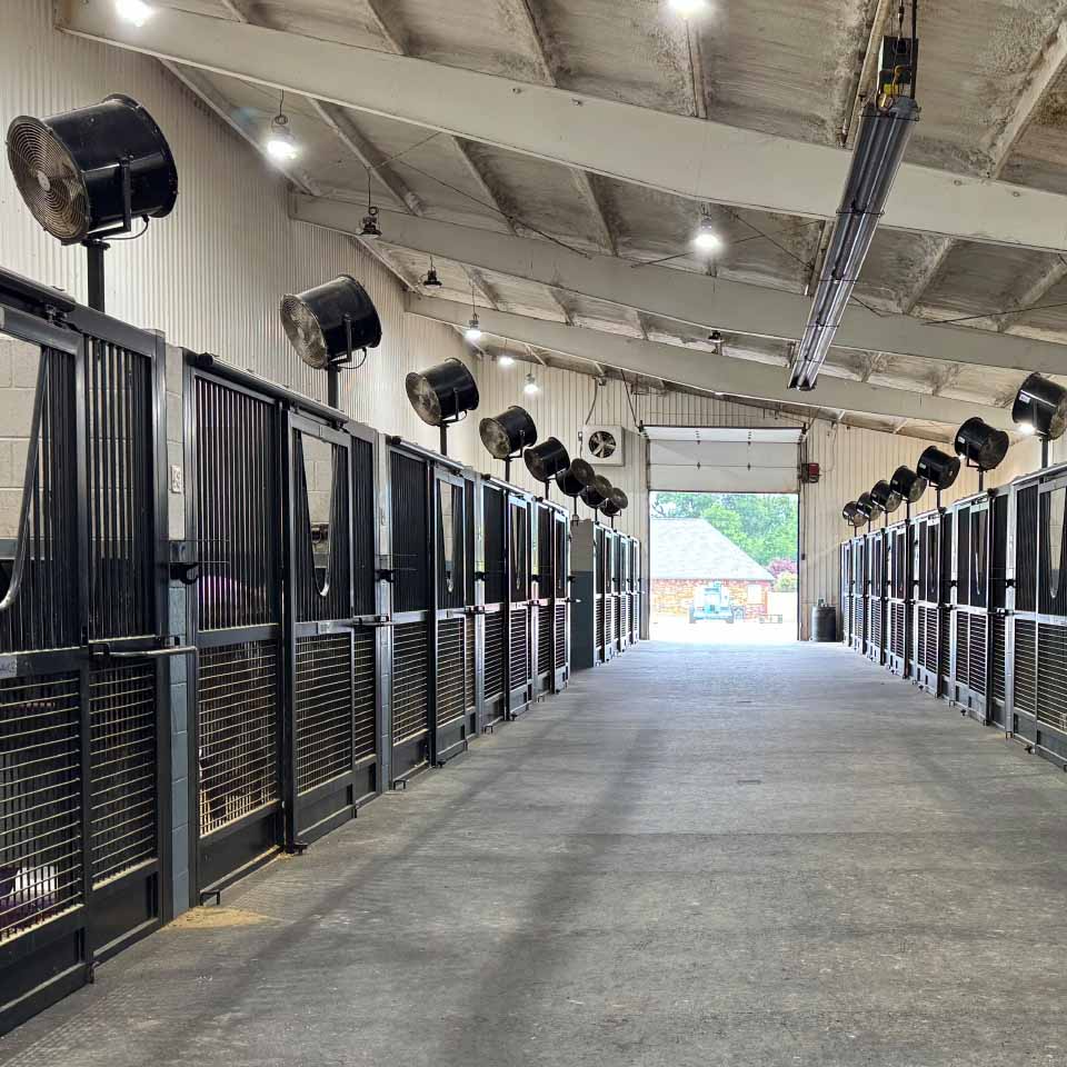 DOWNUNDER HORSEMANSHIP RANCH - Classic Equine Equipment