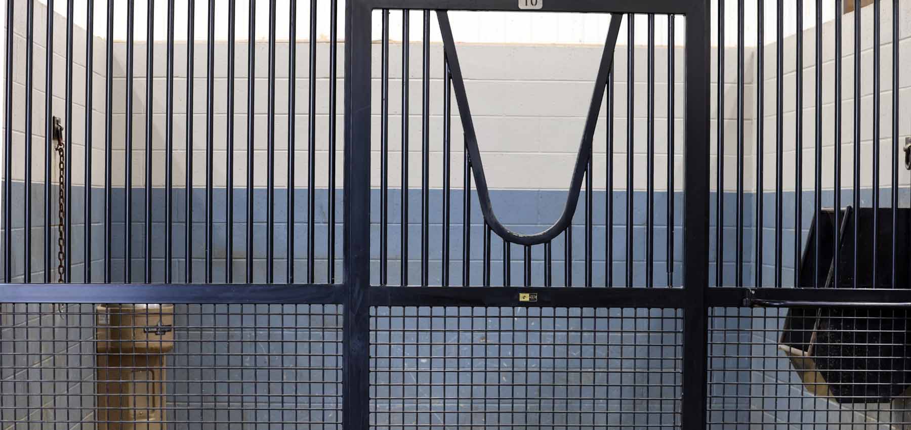 DOWNUNDER HORSEMANSHIP RANCH - Classic Equine Equipment