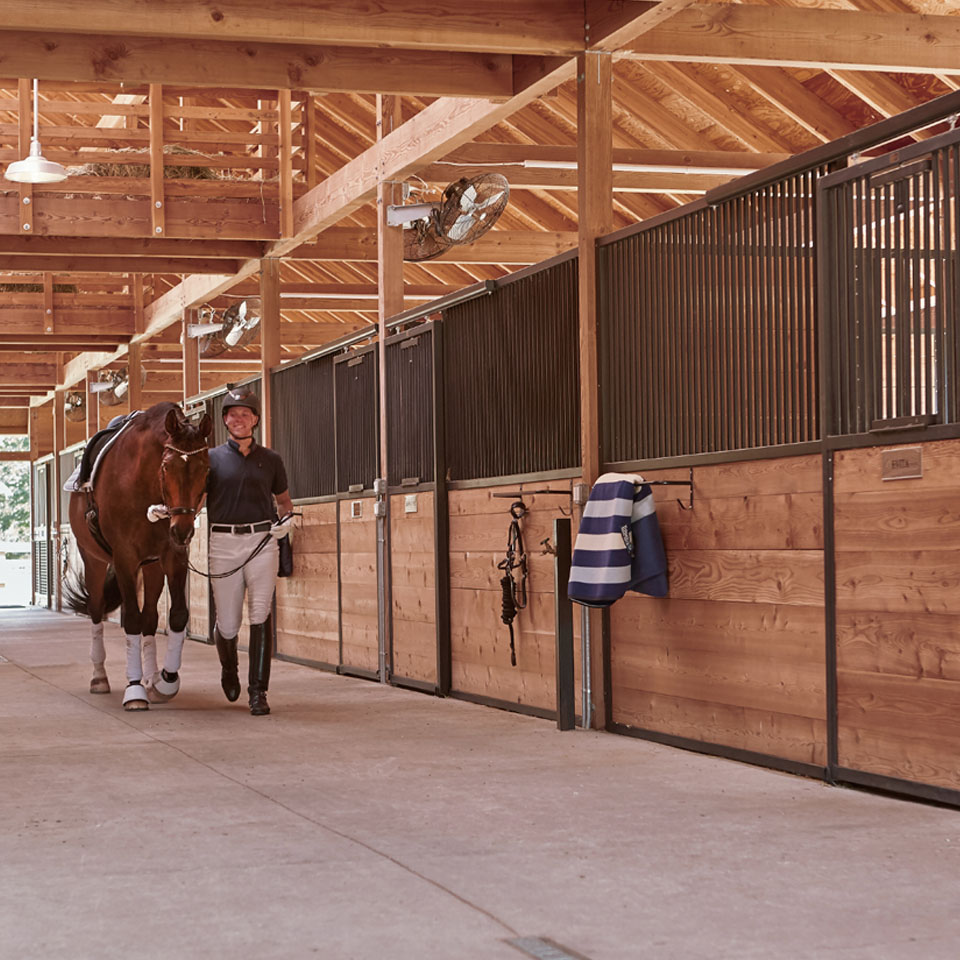 Holland Estate - Classic Equine Equipment