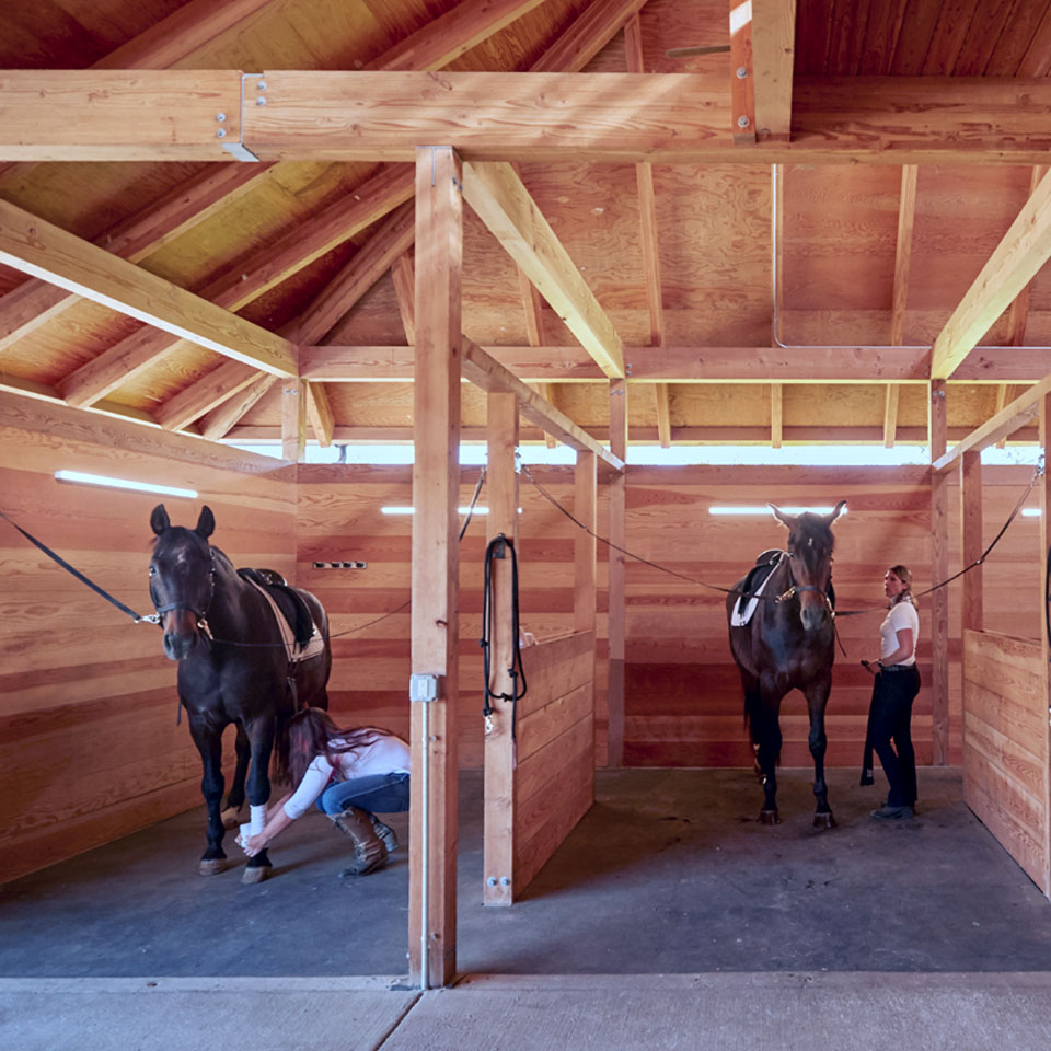 Holland Estate - Classic Equine Equipment