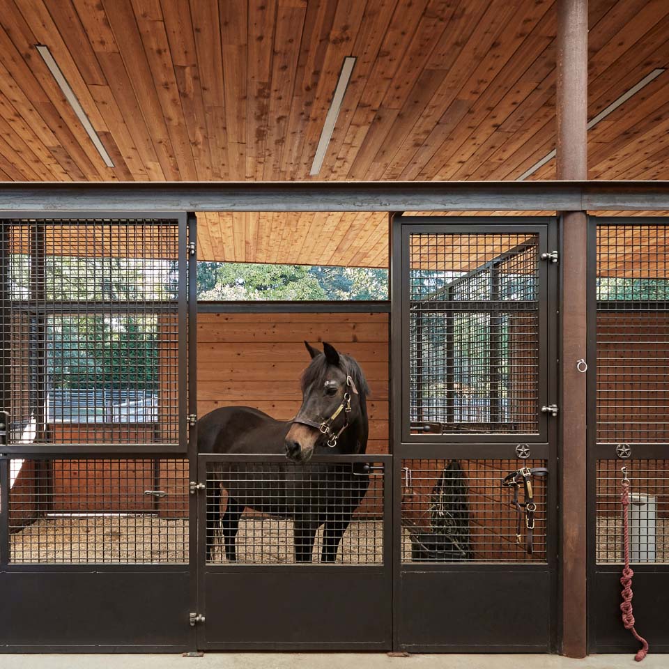 Island Equestrian - Classic Equine Equipment