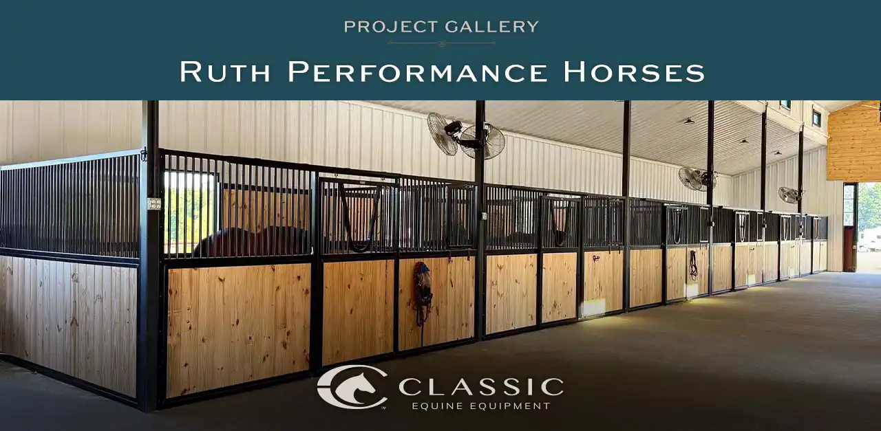 Ruth Performance Horses - Classic Equine Equipment