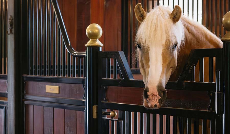 R&R Ranch - Classic Equine Equipment