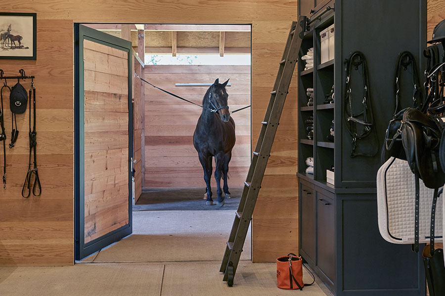 Horse tack storage and organization | Classic Equine Equipment
