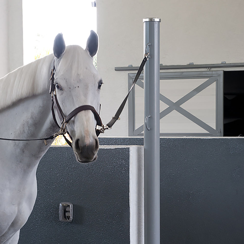 Stable Accessories | Classic Equine Equipment