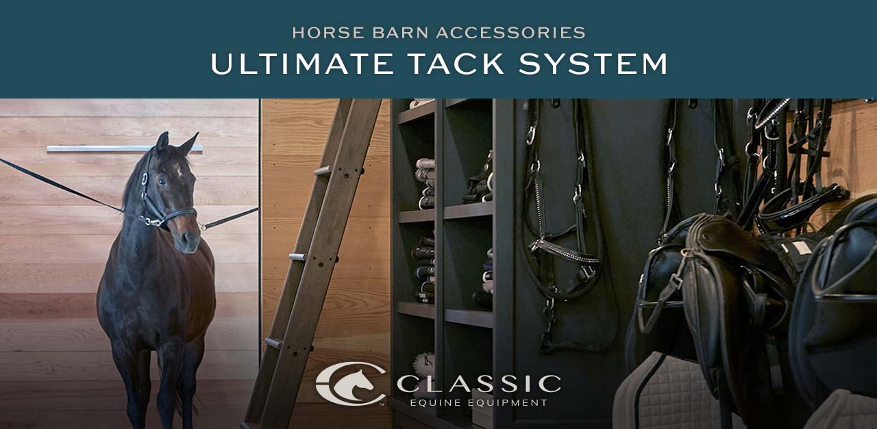 Horse tack storage and organization | Classic Equine Equipment